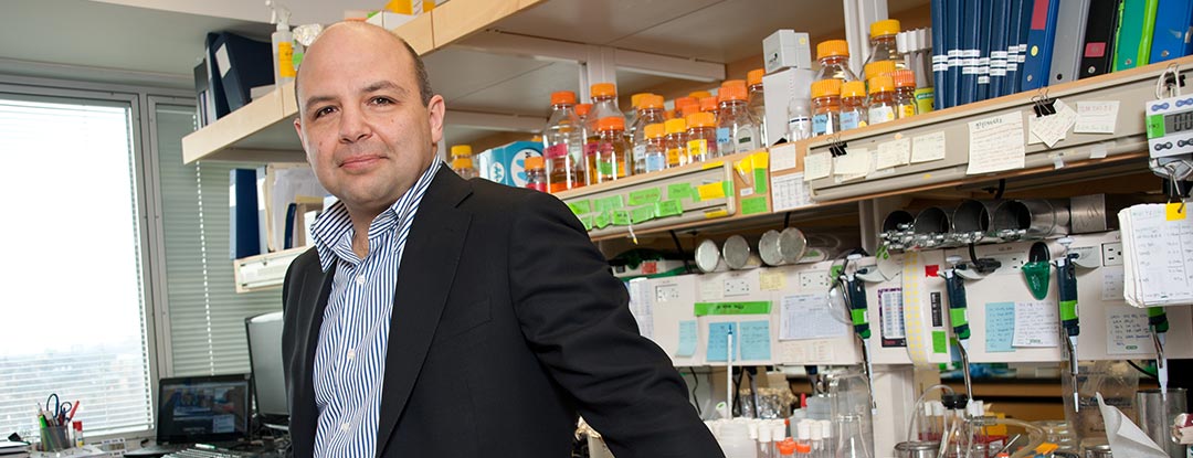 Research - Sinai Health Foundation